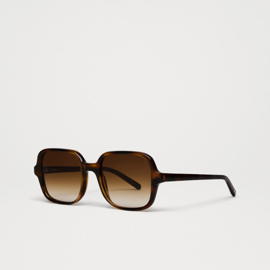 Chimi Sunglasses Conic - Tortoise – costume